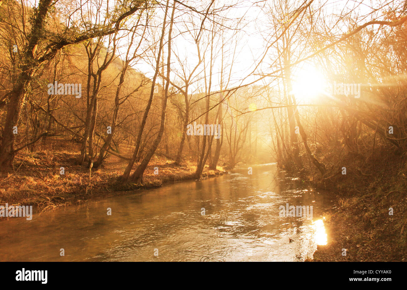 Beautiful small river in forest Stock Photo - Alamy