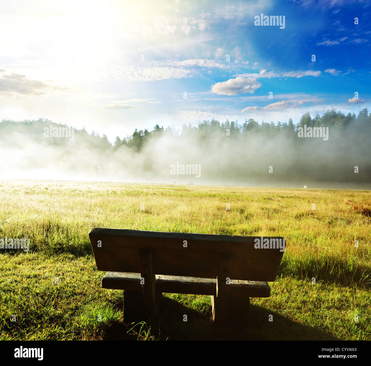 bench on grassland Stock Photo - Alamy