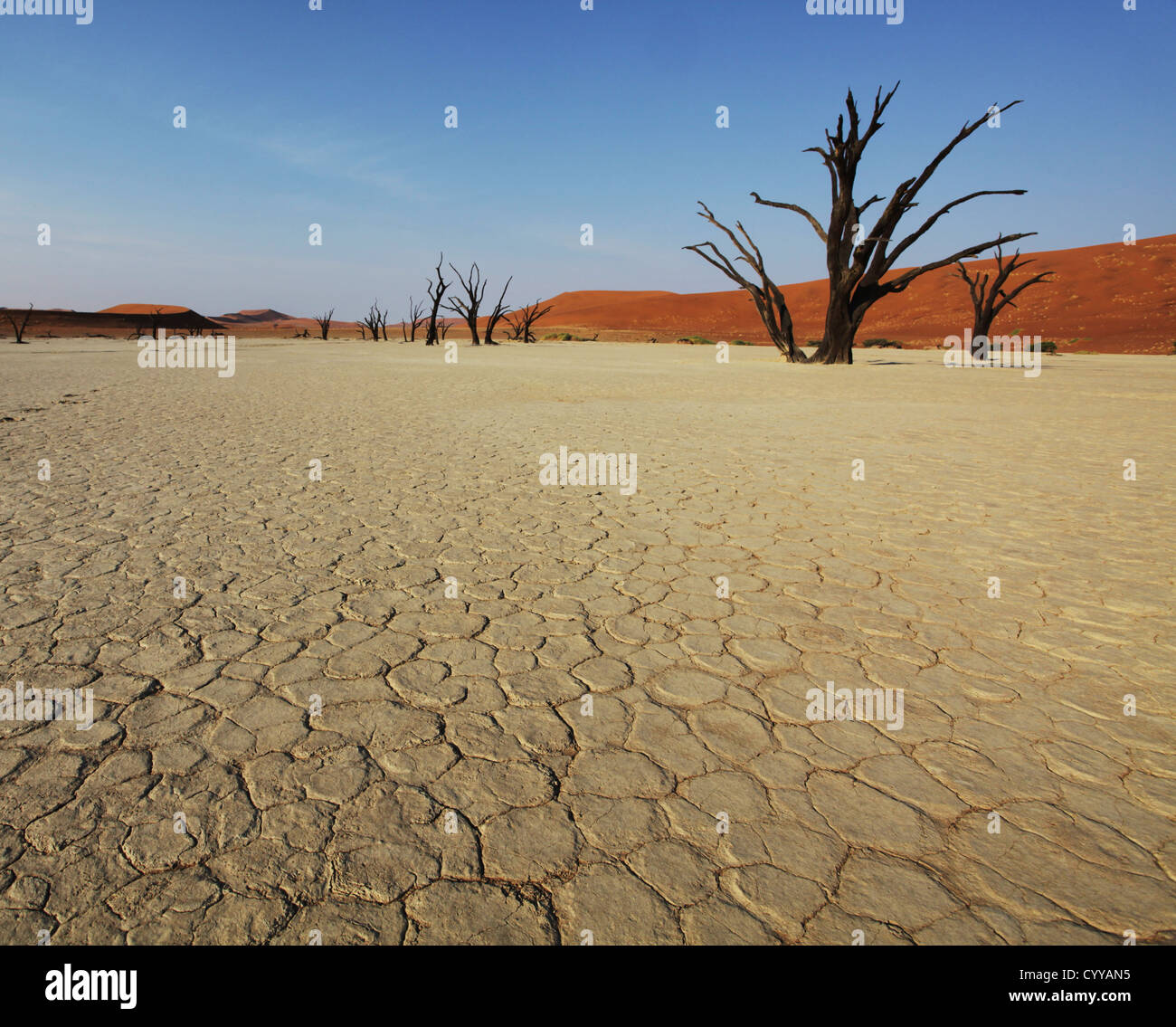 Dead valley in Namibia Stock Photo - Alamy