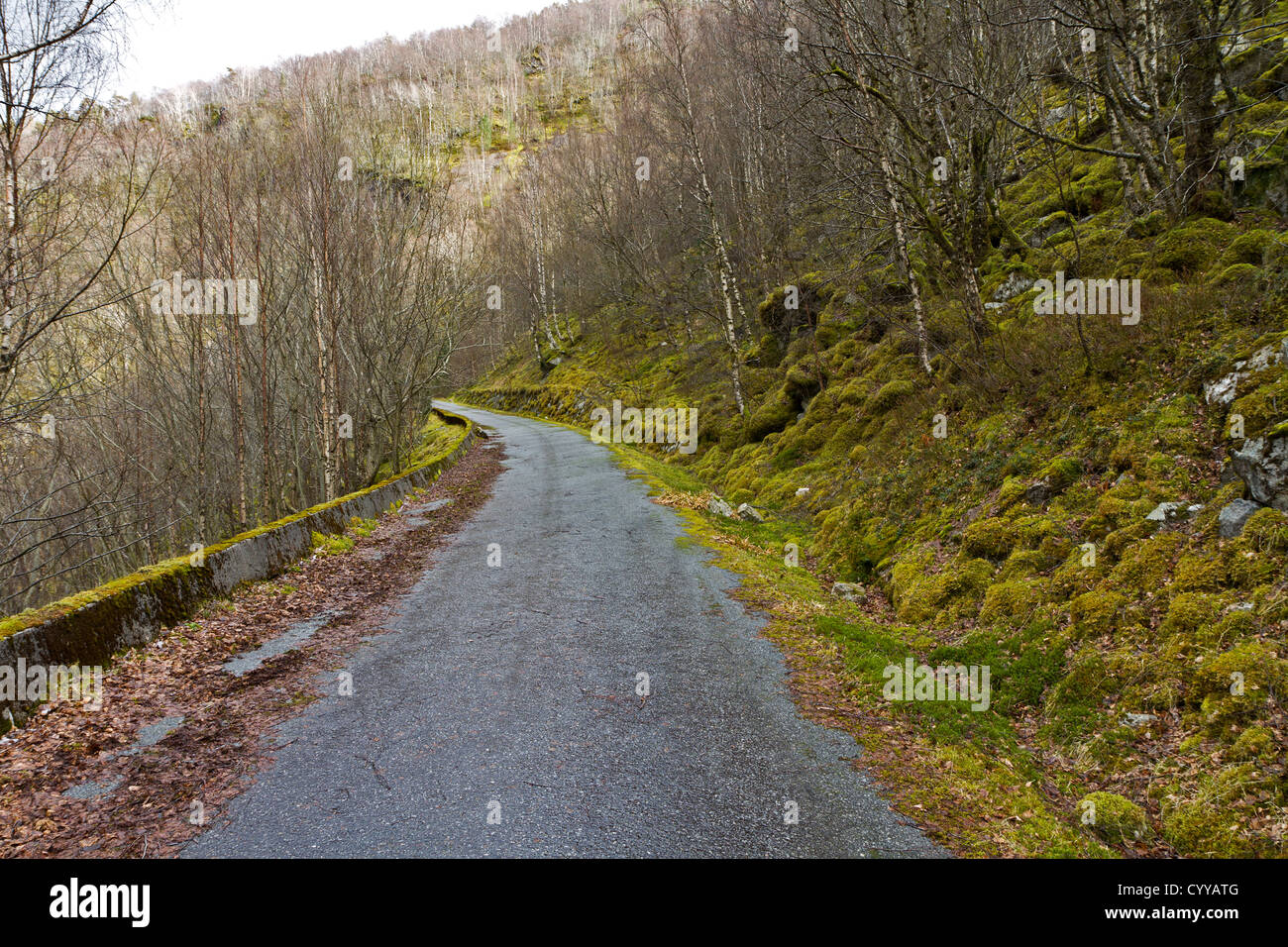 unused, run-down road in rural landscape - norway Stock Photo - Alamy