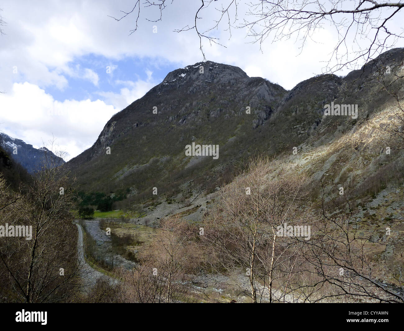 Valley Of The Birch High Resolution Stock Photography and Images - Alamy