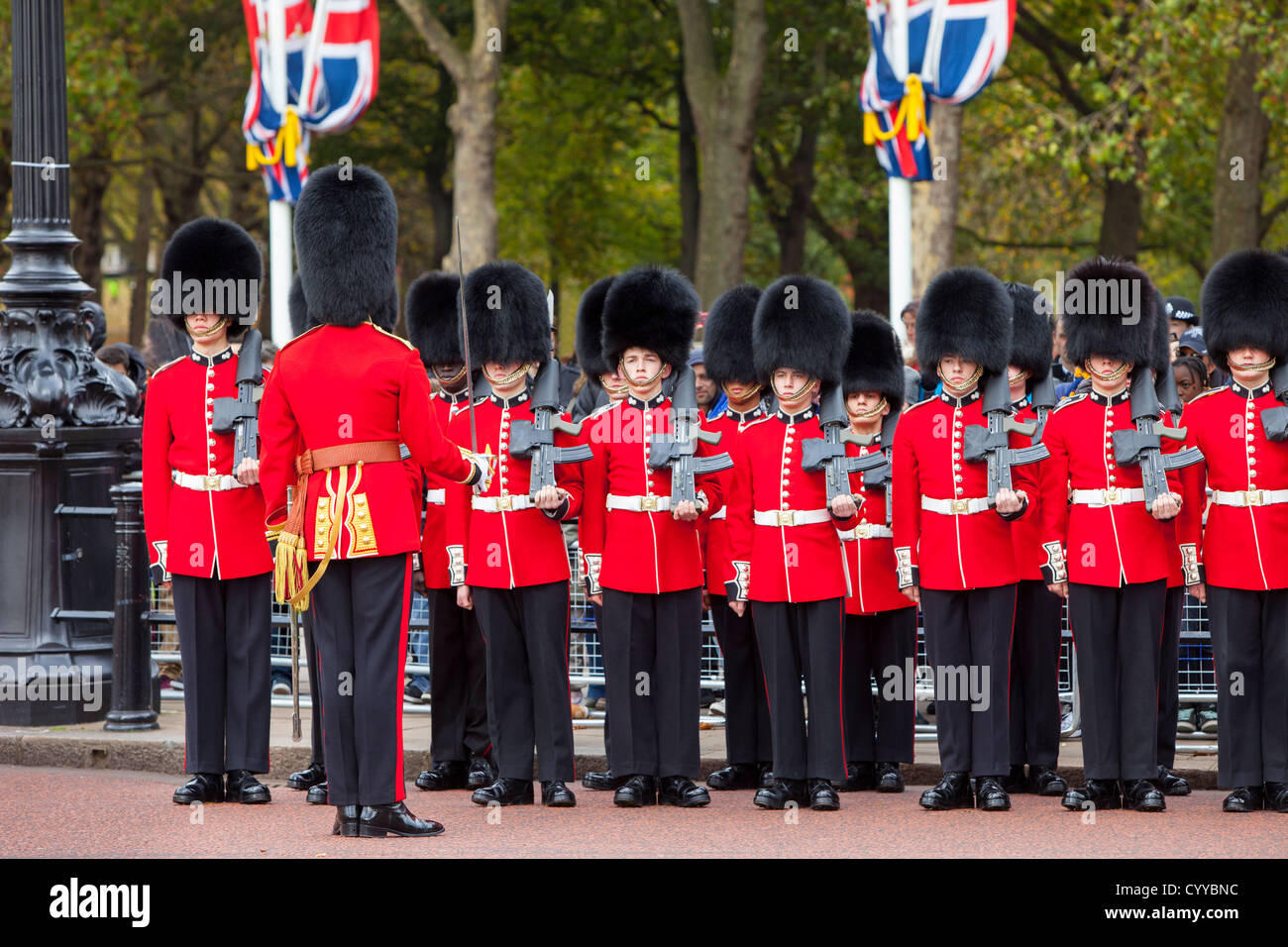 Members of the Scots Guard at attention at Buckingham Palace, London ...