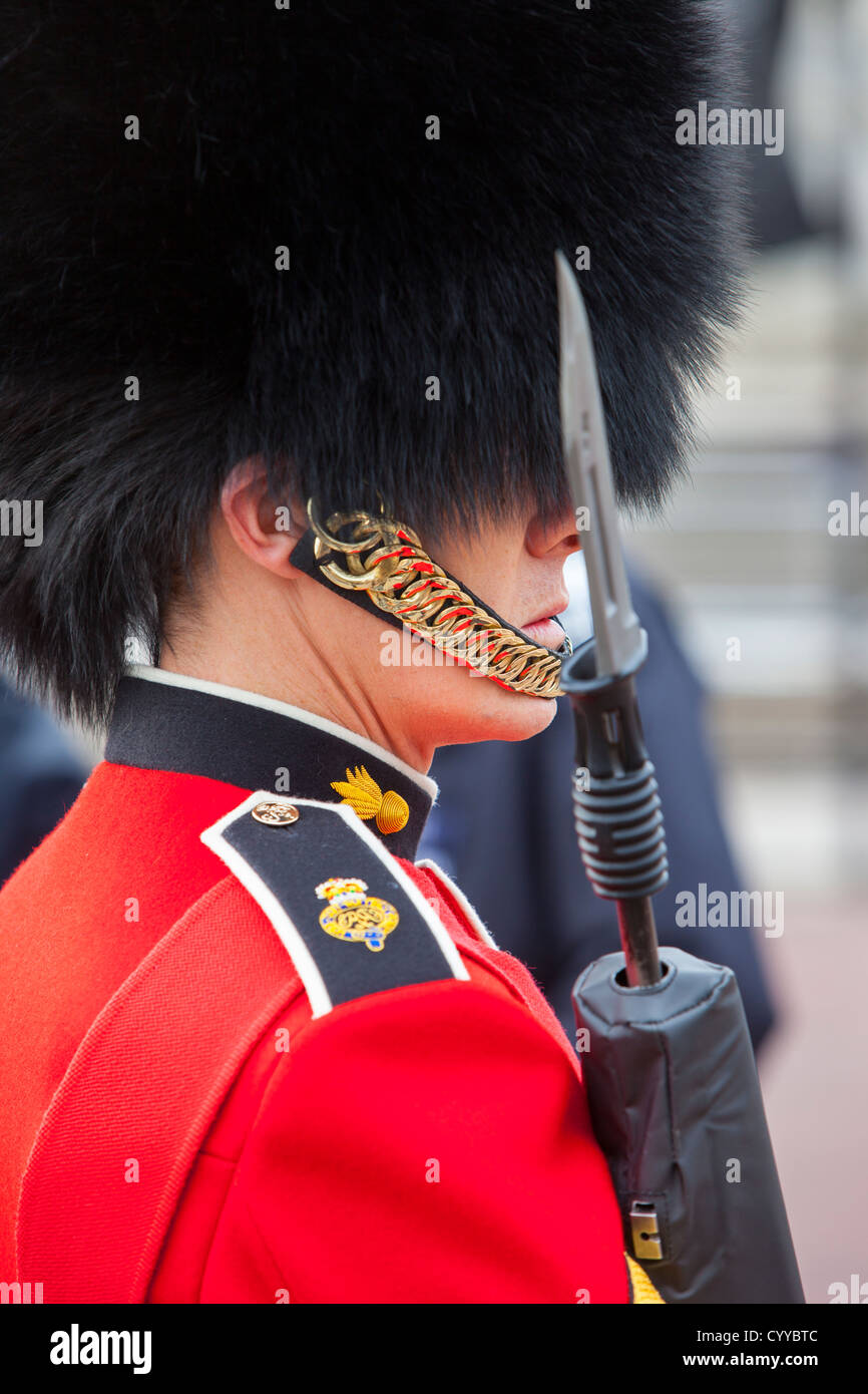 Scots guard hi-res stock photography and images - Alamy
