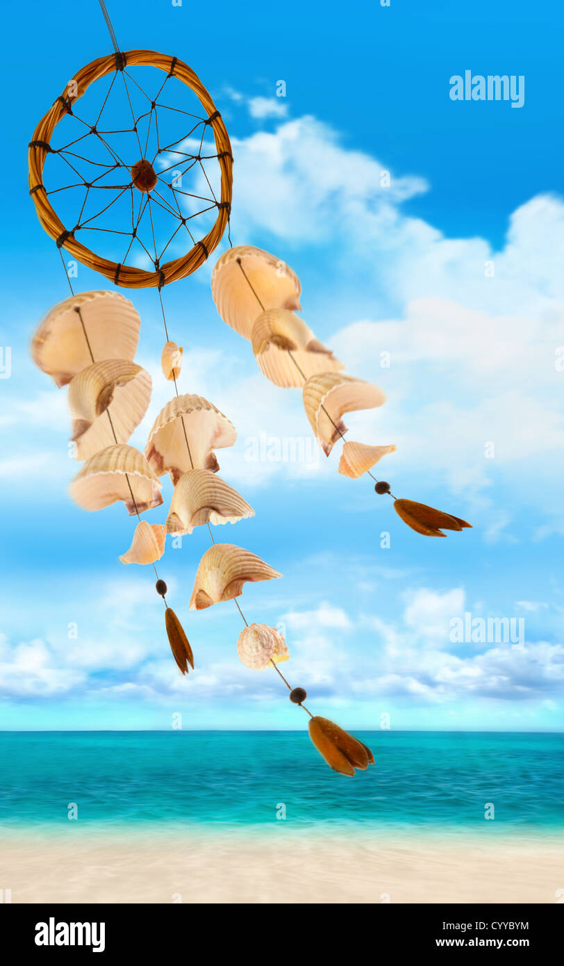 Scallop sea shells hi-res stock photography and images - Alamy