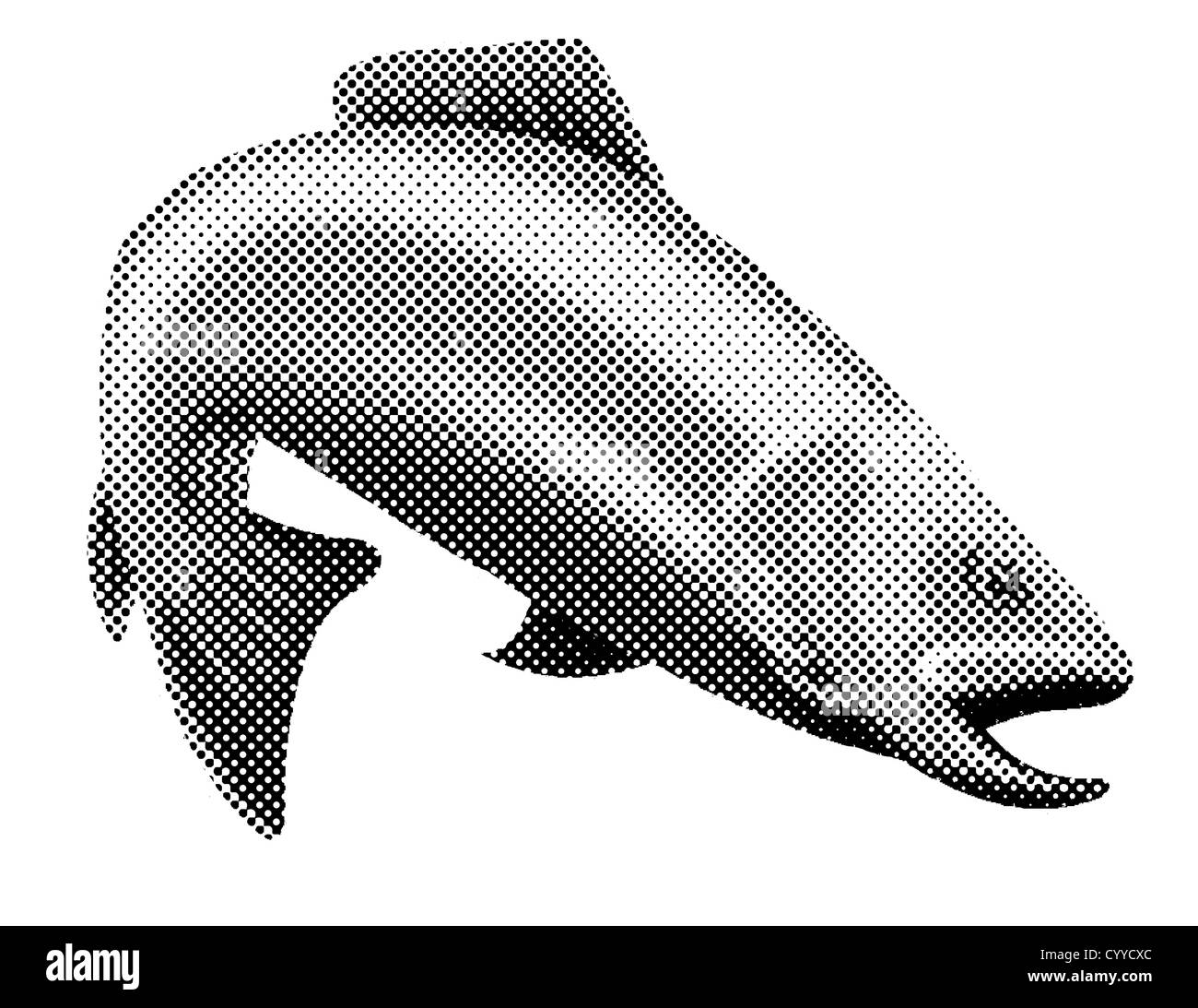 Salmon jumping illustration Black and White Stock Photos & Images - Alamy