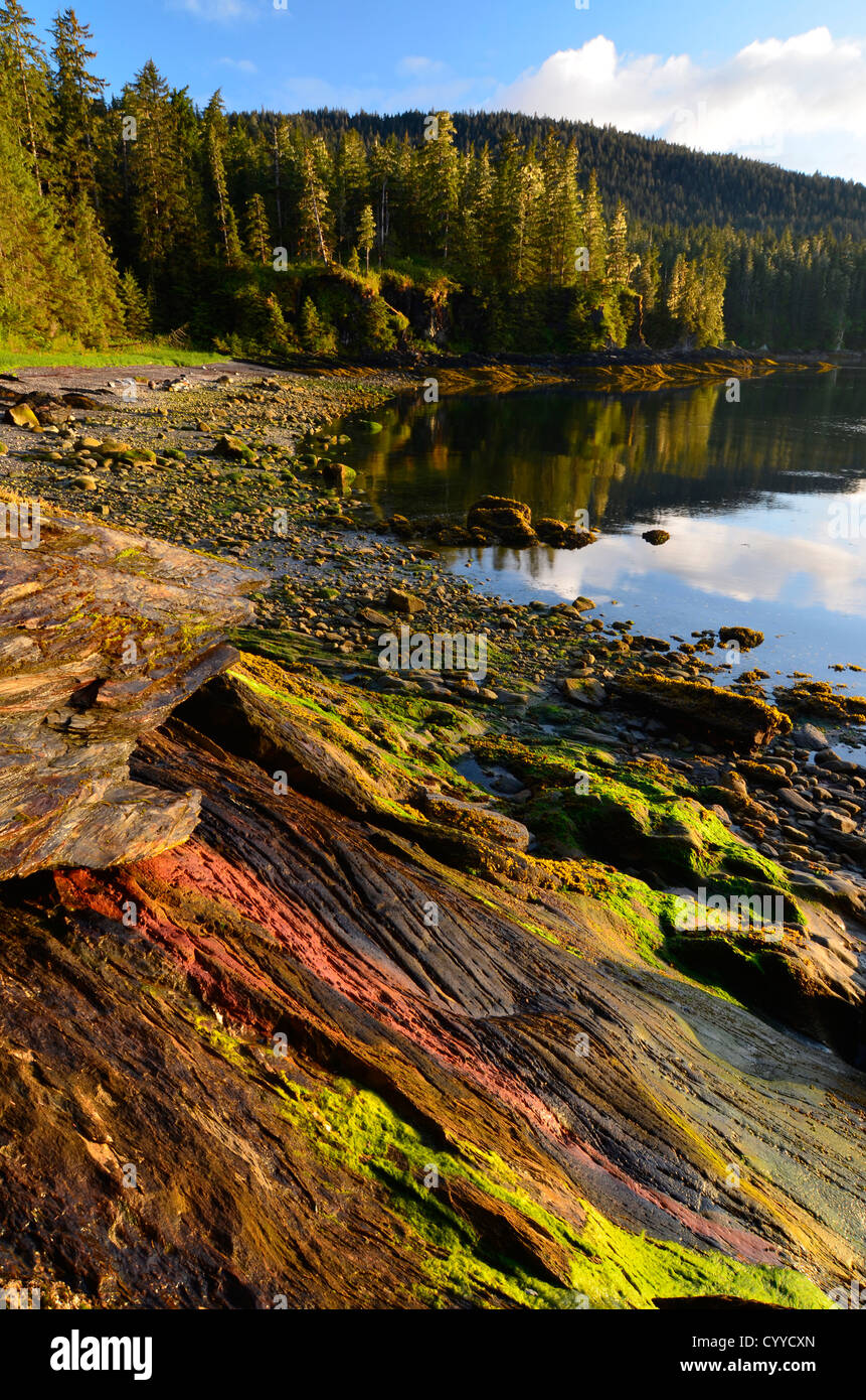 Shoreline of Holkham Bay at low tide, Tongass National Forest, Alaska ...