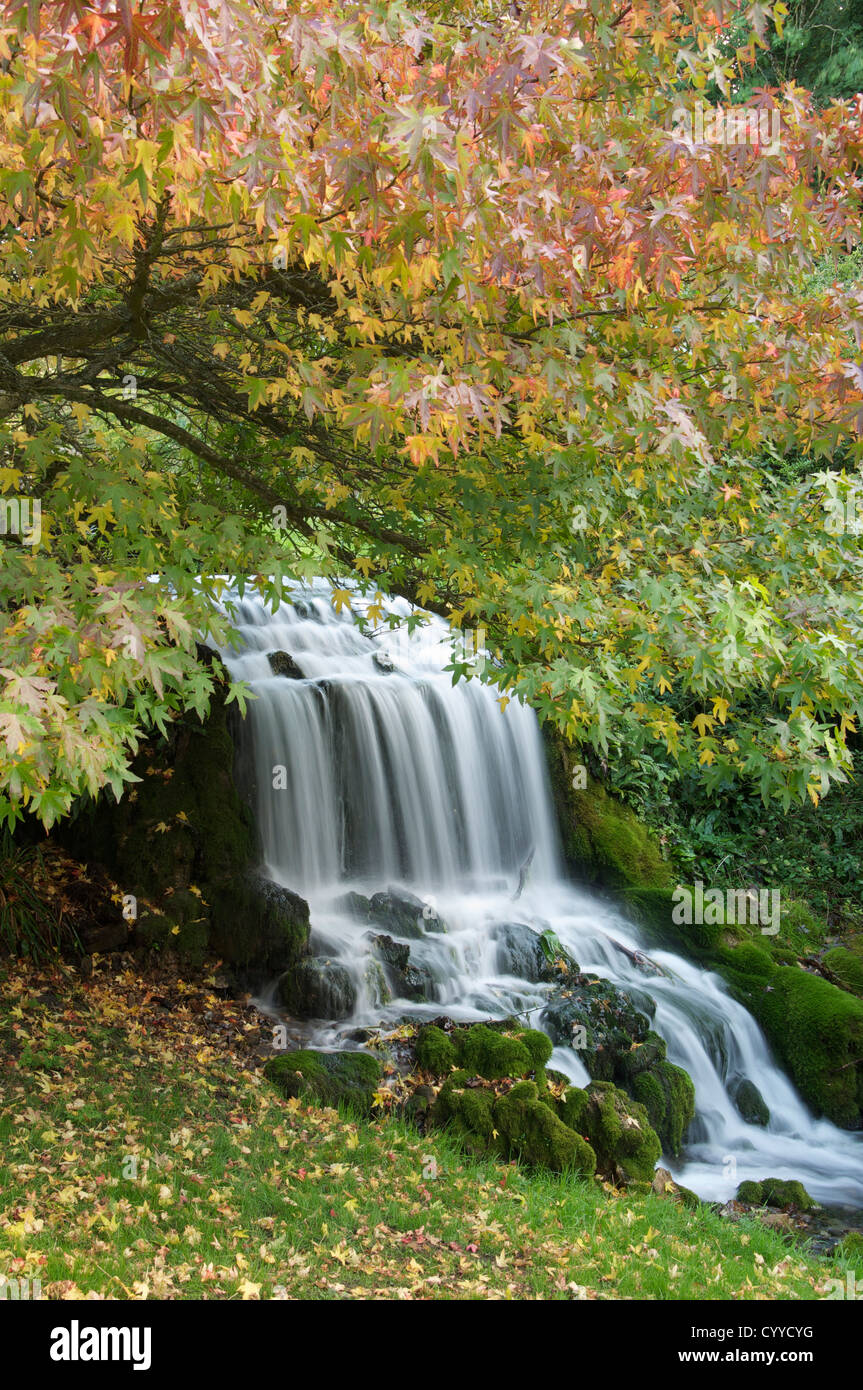 Autumn leaves overhang a picturesque waterfall flowing from Bidehead ...
