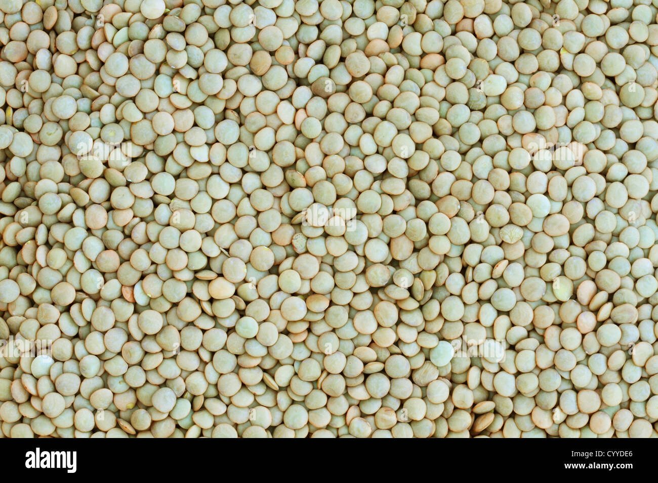 Macro of an uncooked flat lentil background Stock Photo - Alamy