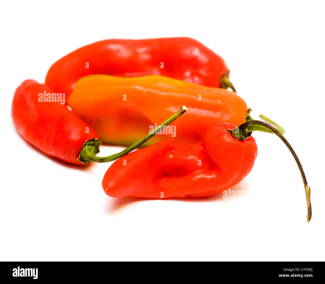 Red Hot Chili Peppers isolated on white with shadow Stock Photo - Alamy
