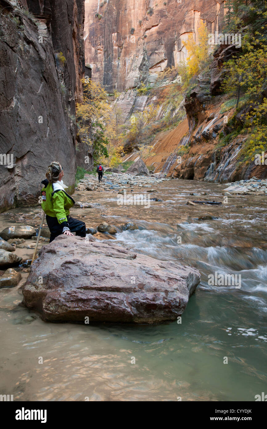 Woman hiking the narrows in zion hi-res stock photography and images ...