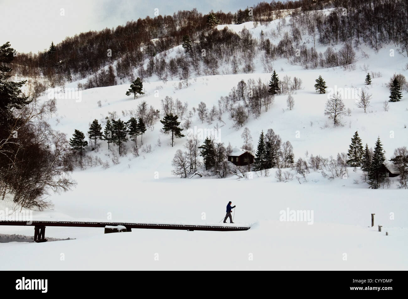 A single skier in a winter landscape Stock Photo - Alamy