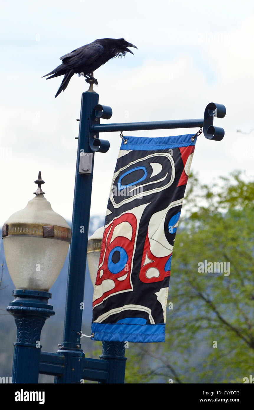 Raven on lamp post in hi-res stock photography and images - Alamy