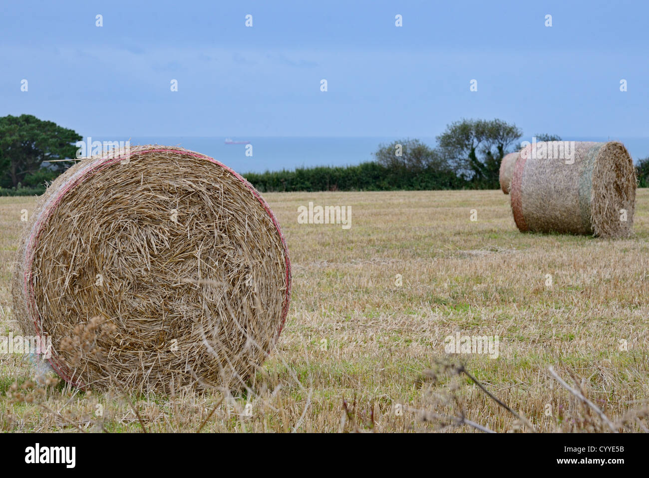 Coastal farming hi-res stock photography and images - Alamy