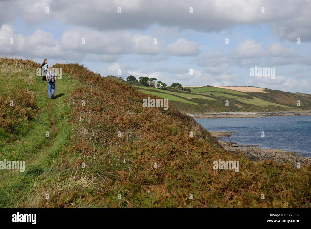 Cornish coastal path hi-res stock photography and images - Alamy