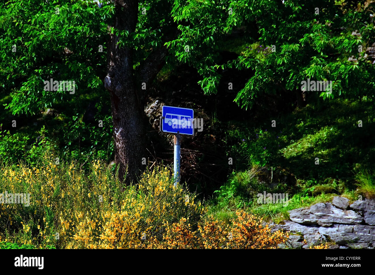 A bus stop sign surrounded by flowers and shrubs Stock Photo - Alamy