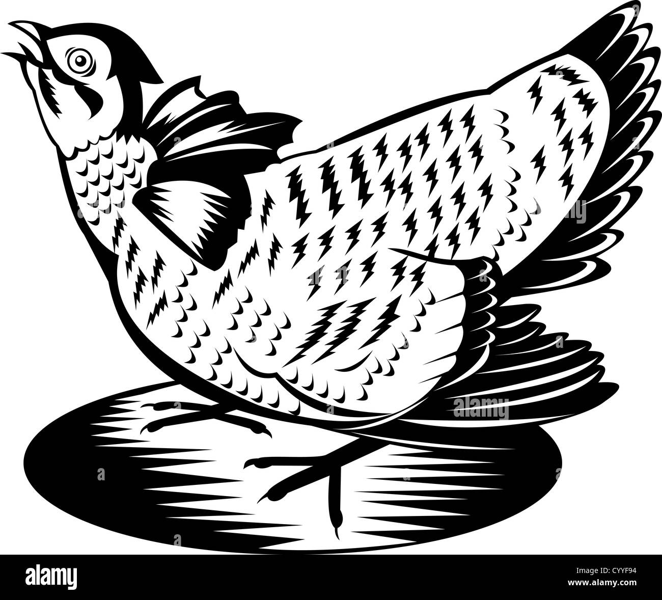 Chicken Clip Art Black And White