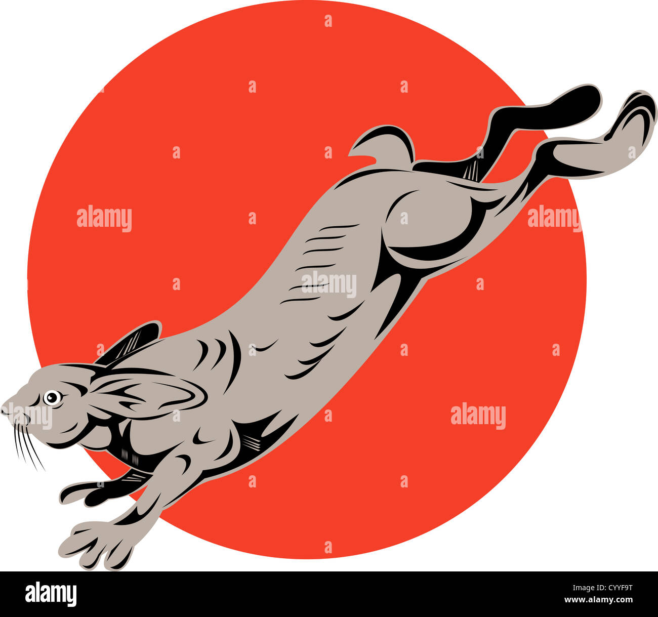 Illustration of a jack rabbit jumping retro Stock Photo - Alamy