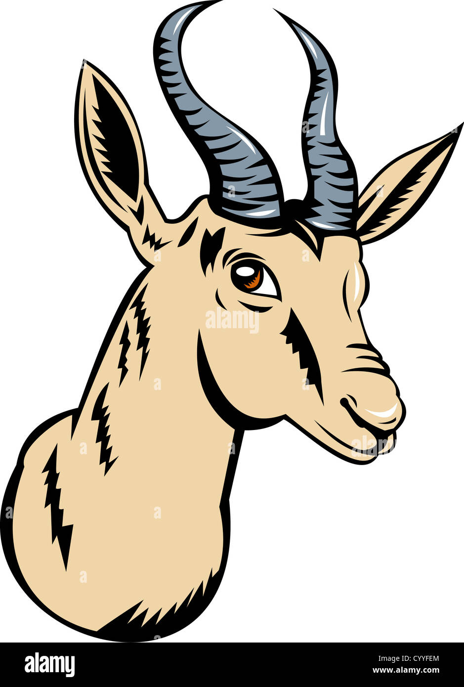 Springbok Cut Out Stock Images & Pictures - Alamy