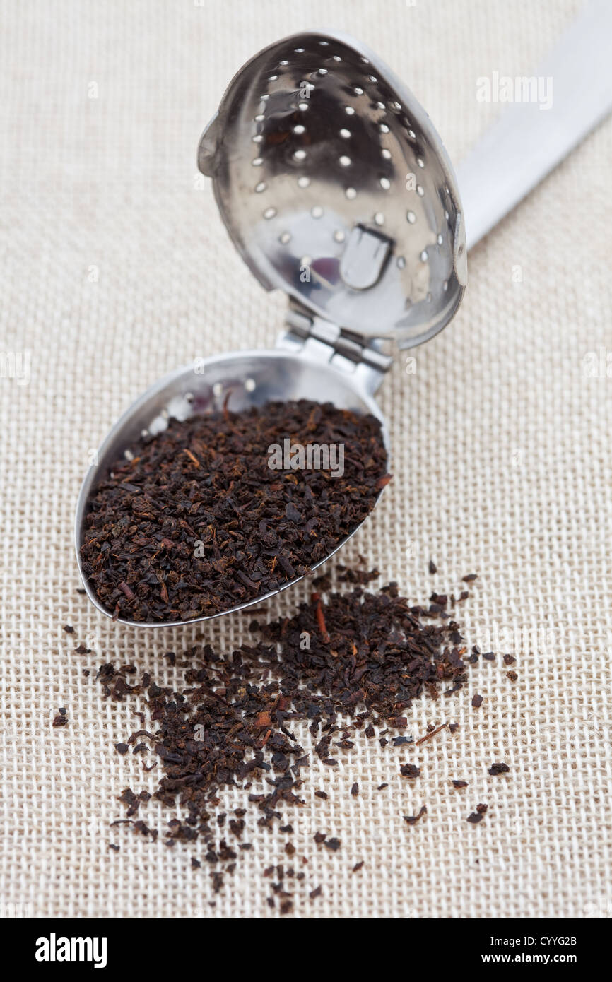 Tea strainer next to fresh tea leaves on a hessian cloth Stock Photo ...