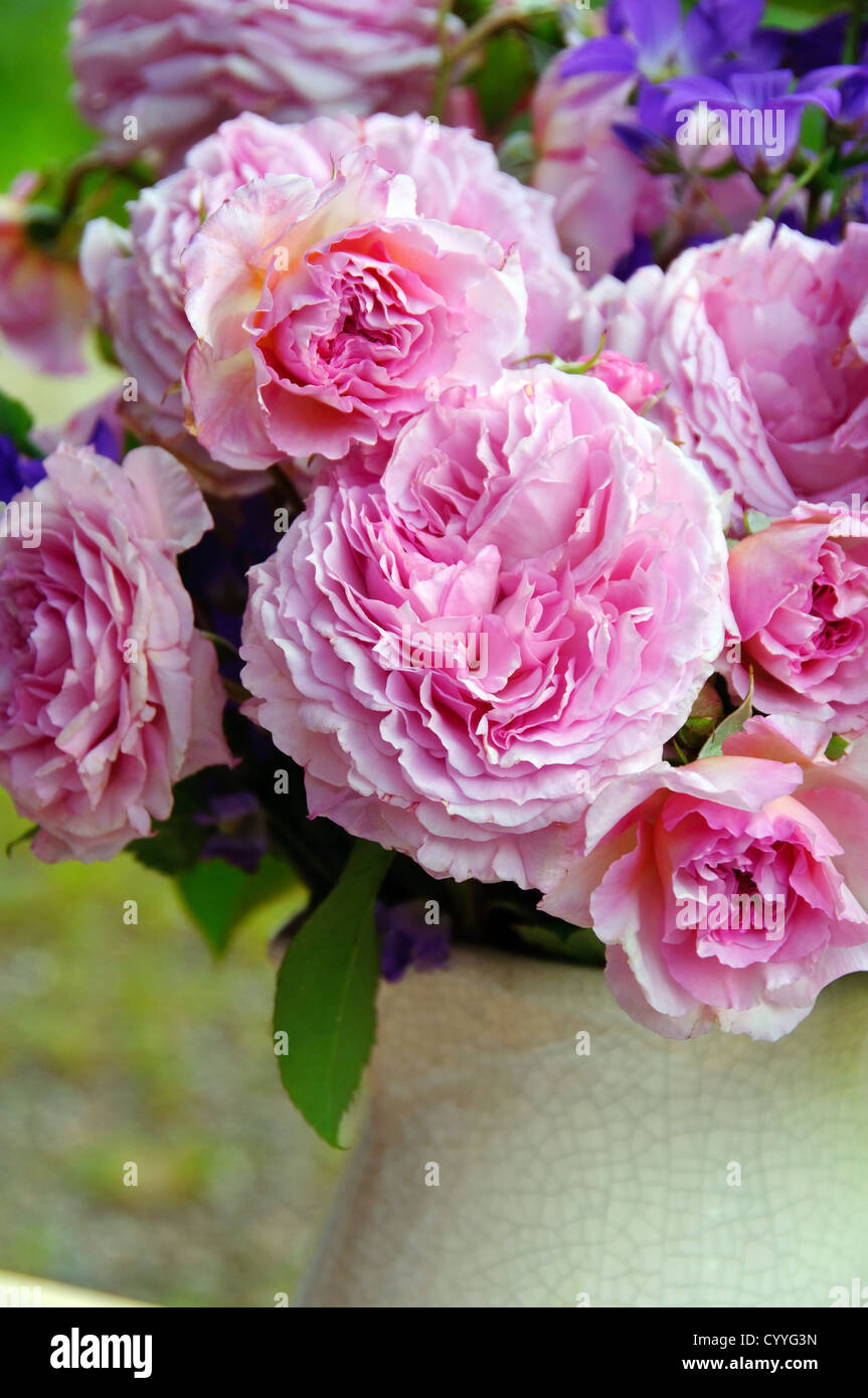 Bouquet of pink roses and bluebells Stock Photo - Alamy