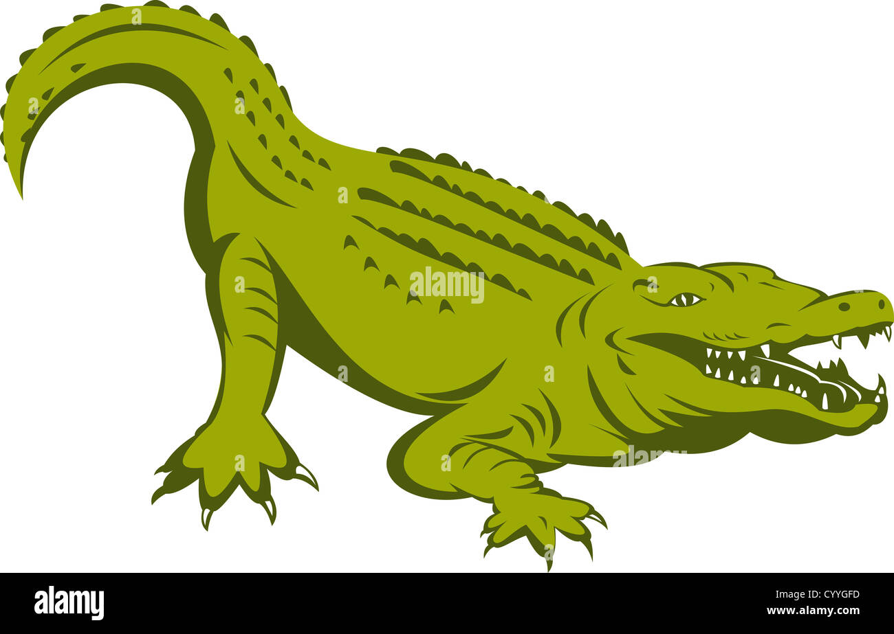 illustration of a an alligator done in retro style Stock Photo - Alamy
