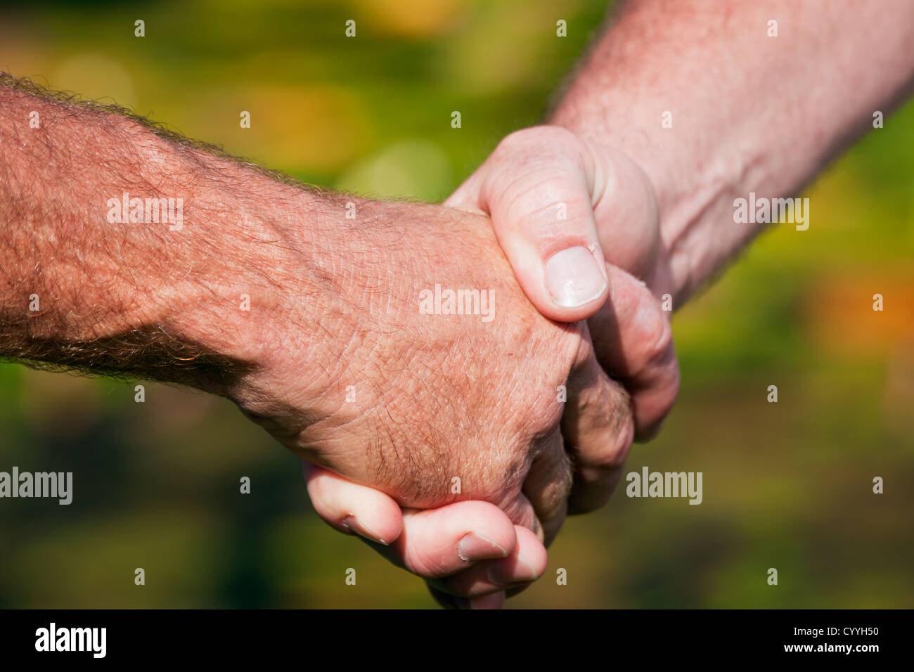 A closeup of a friendly handshake between two men Stock Photo - Alamy