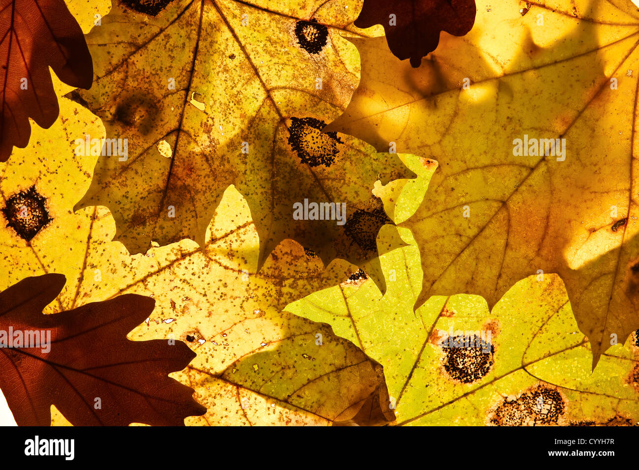 Fallen down hi-res stock photography and images - Alamy