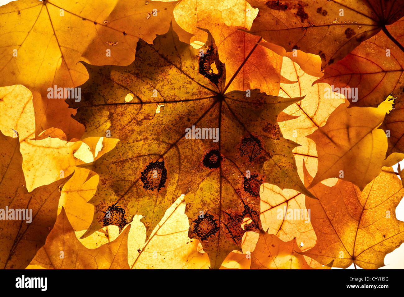Fallen down hi-res stock photography and images - Alamy