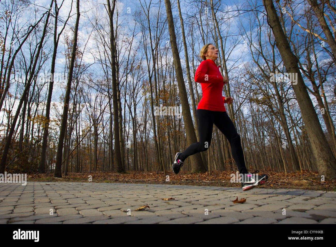 Fit woman jogging on a path Stock Photo - Alamy