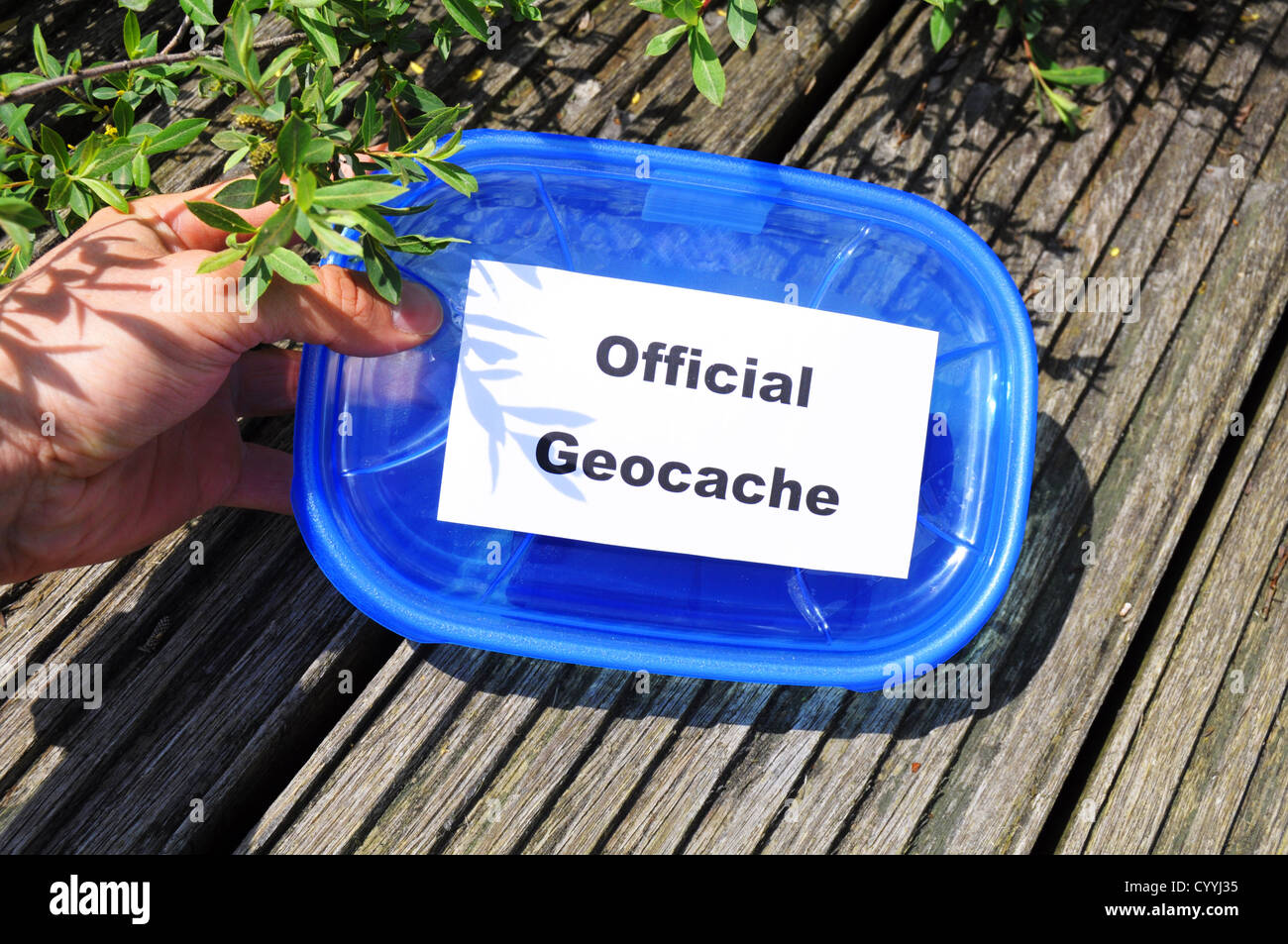 official blue geocache box in nature or forest Stock Photo - Alamy