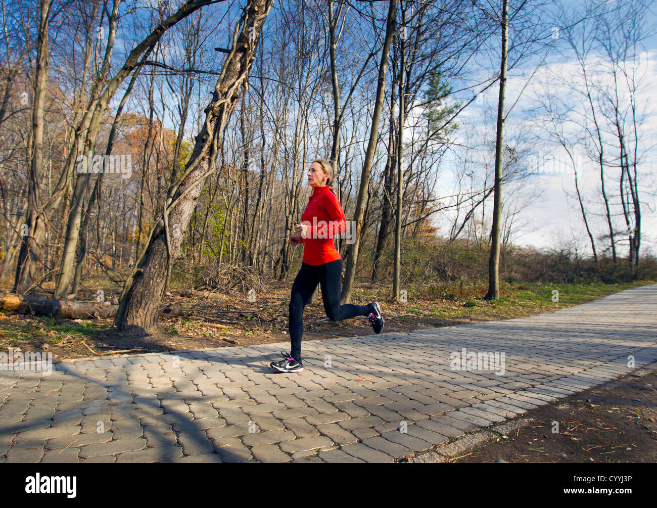 Fit woman jogging on a path Stock Photo - Alamy