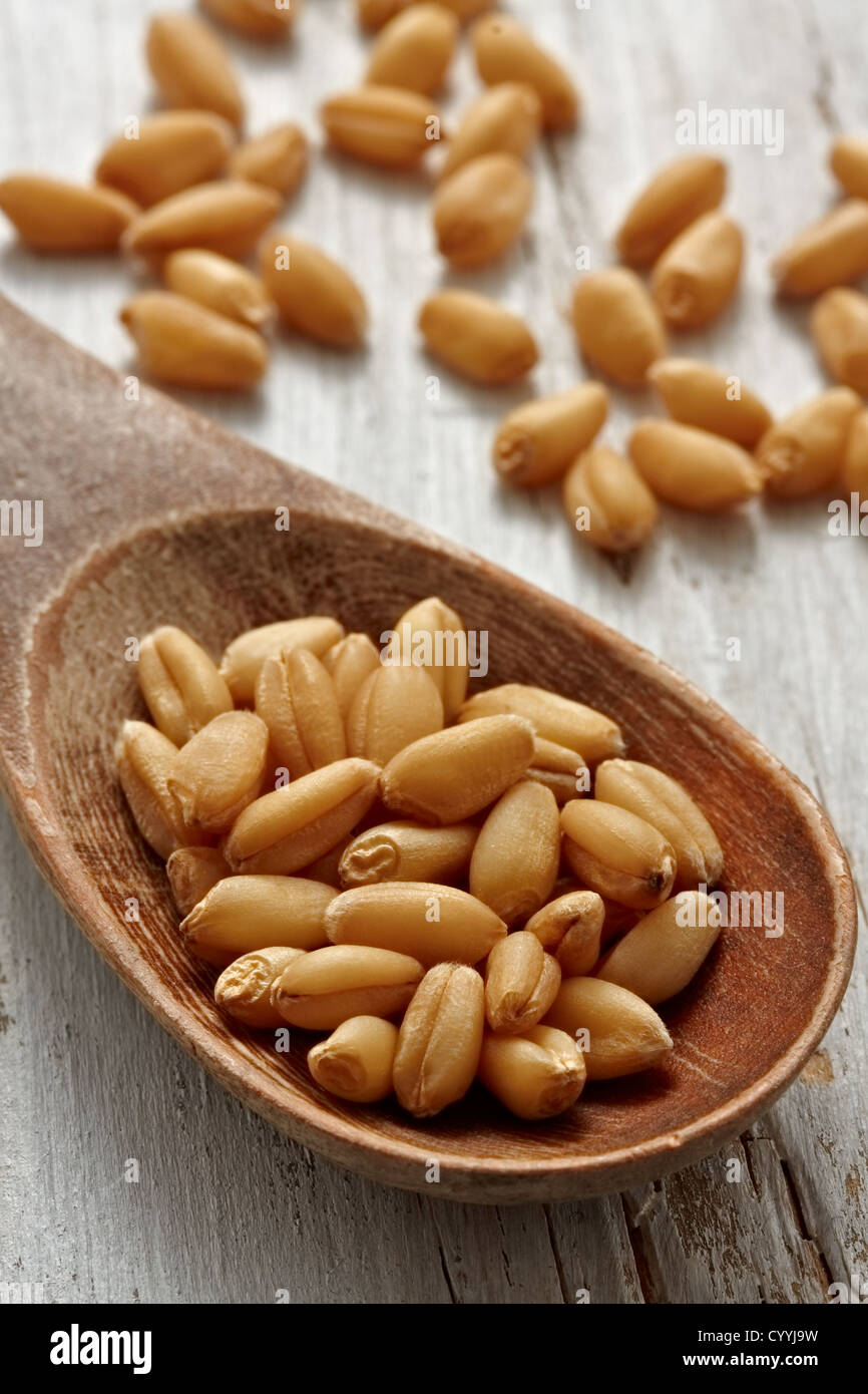 sweet corn on a wood spoon Stock Photo - Alamy