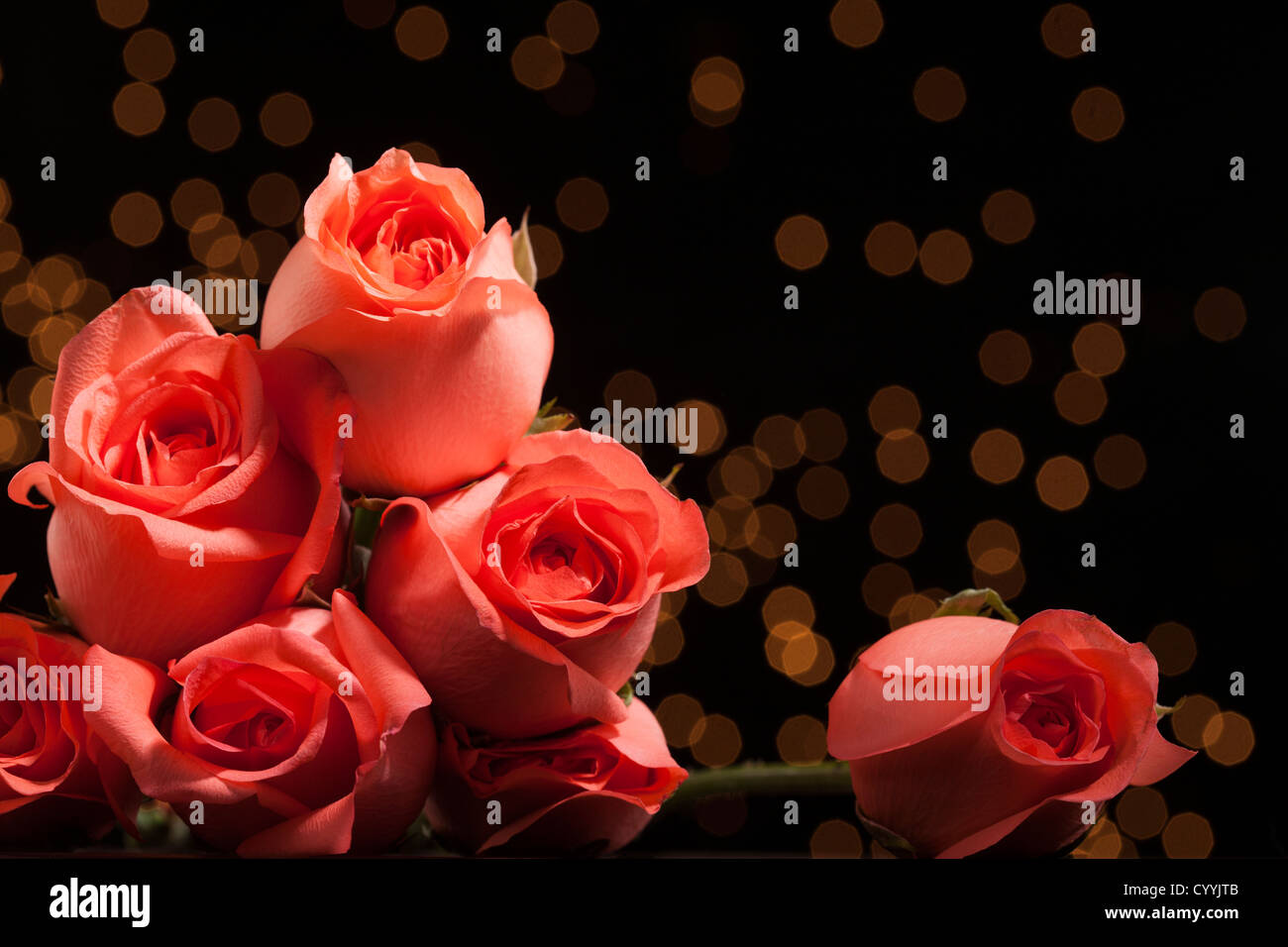 Romantic roses with glittering light in background Stock Photo - Alamy