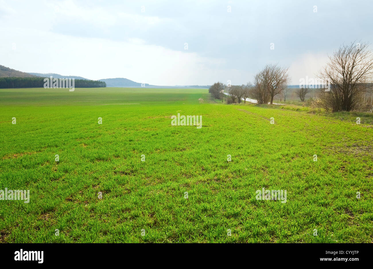 Spring dull landscape with country road and green meadow Stock Photo ...