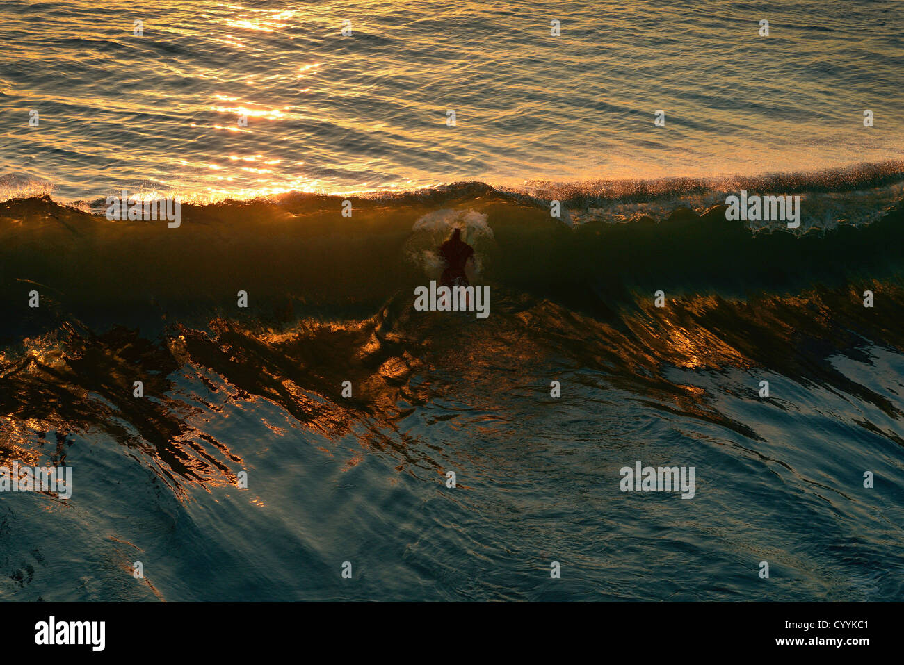 venice beach surfer Stock Photo - Alamy