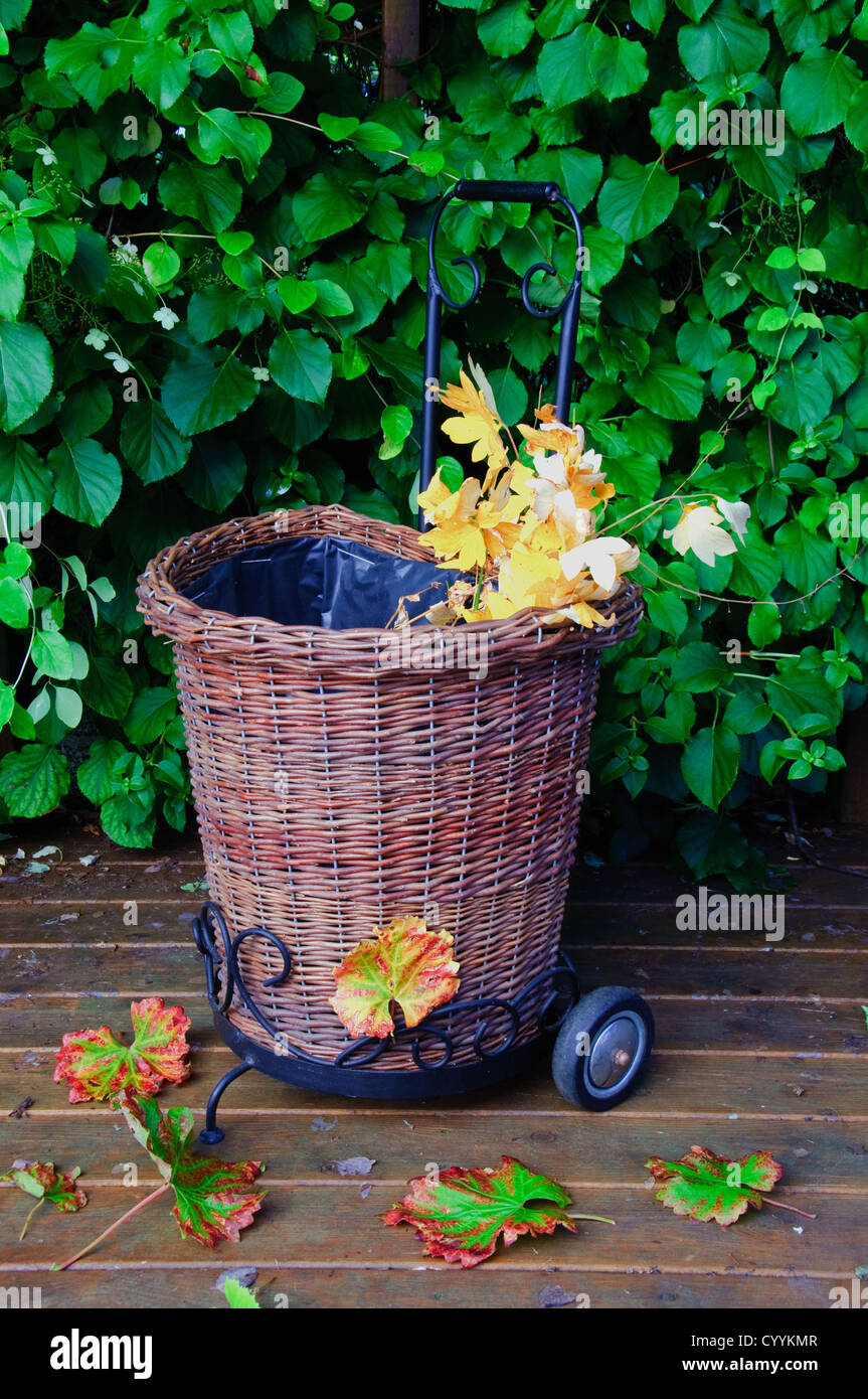 A garden trolley with a background of leaves Stock Photo - Alamy
