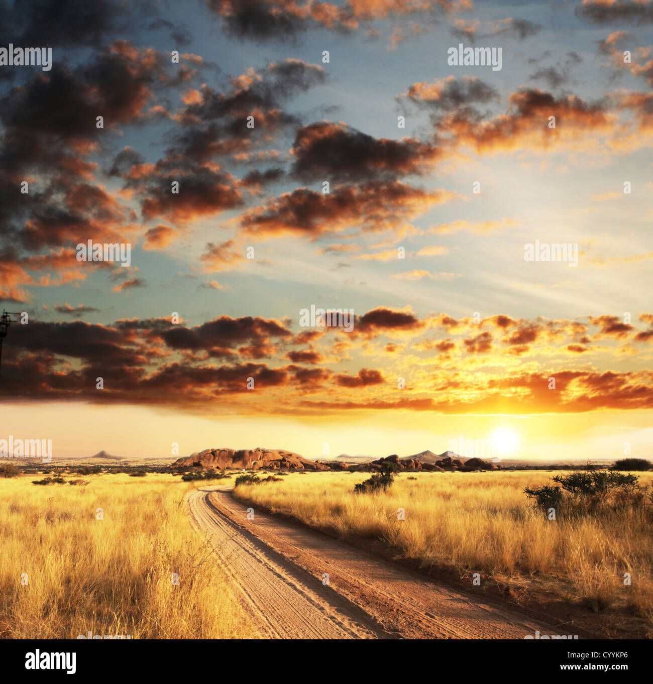 Arid dry african savanna hi-res stock photography and images - Alamy
