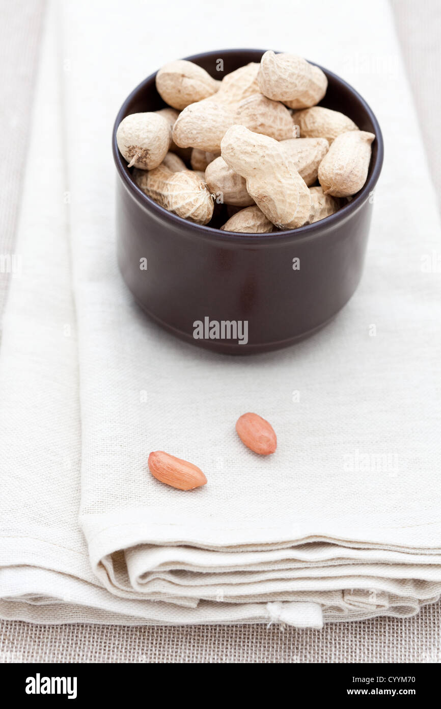 Peanuts known as also as monkey nuts in a pod on a cloth Stock Photo ...