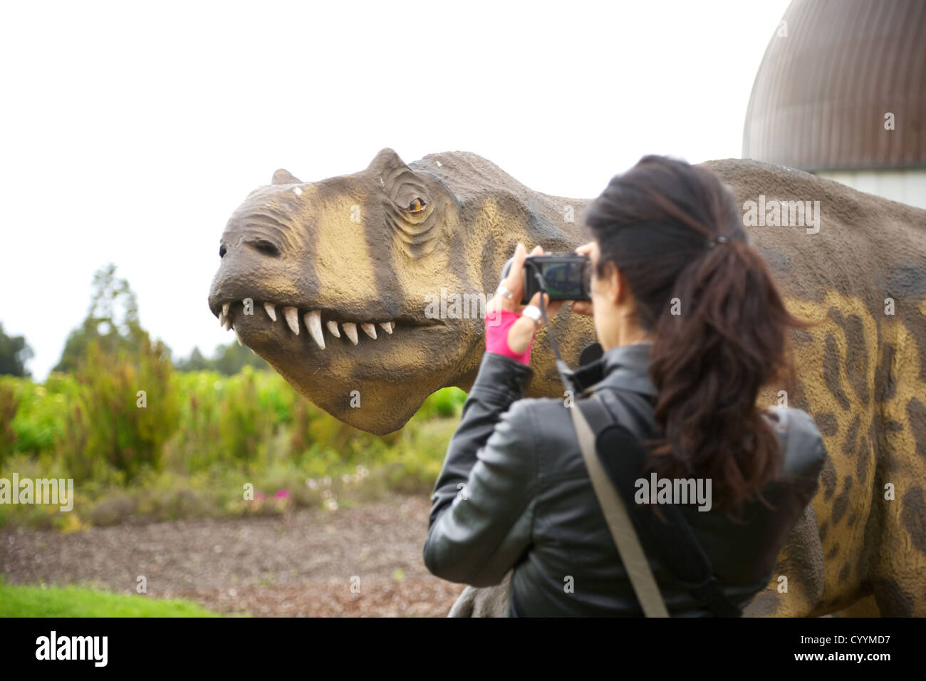 Dinosaur model hi-res stock photography and images - Alamy