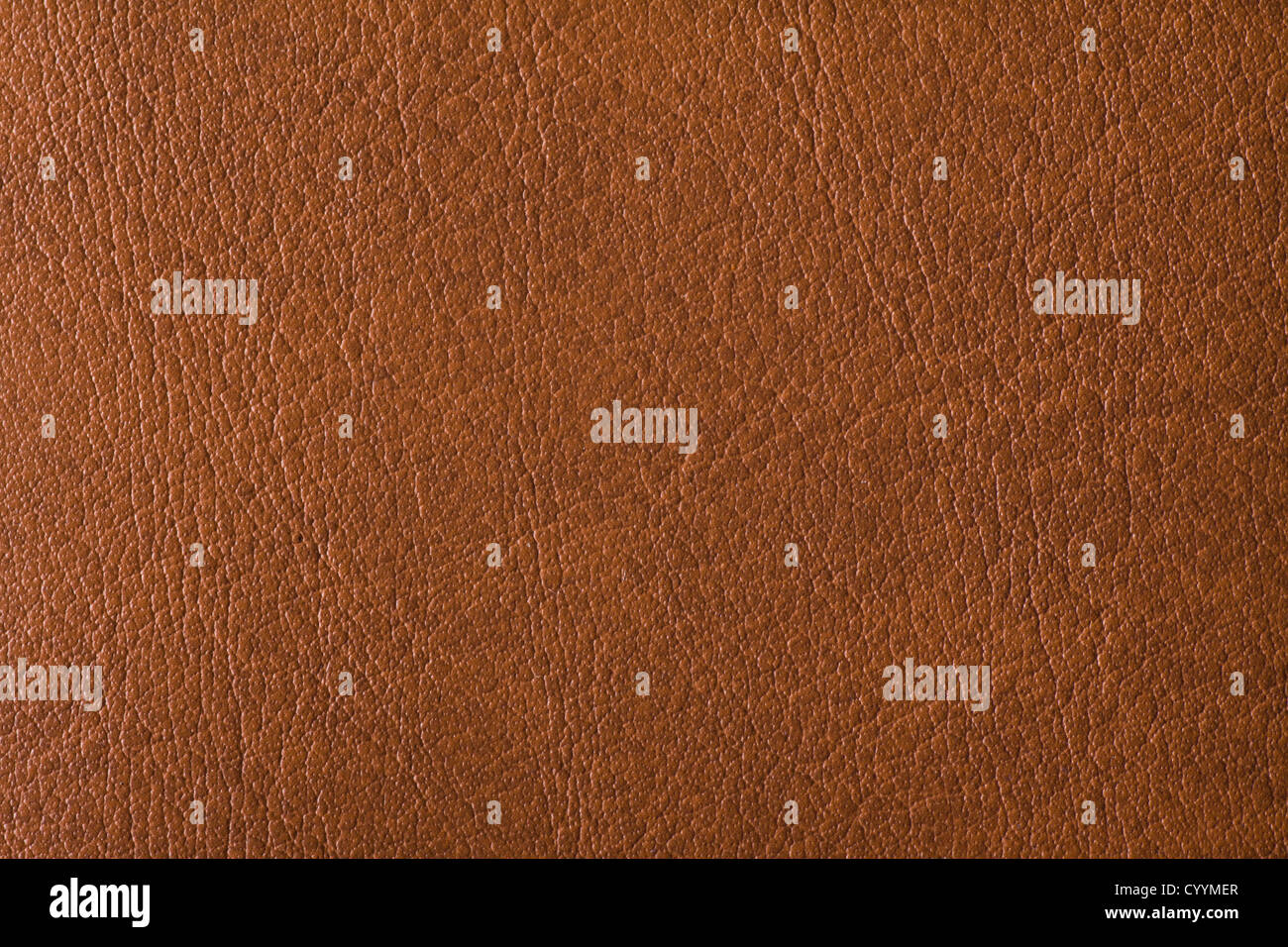 Mold on leather hi-res stock photography and images - Alamy
