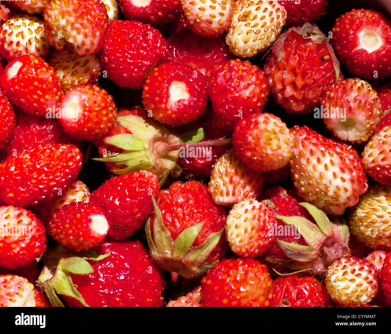 Macro image of fresh strawberry hi-res stock photography and images - Alamy