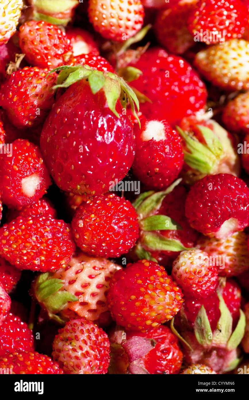 Group of bright red shiny strawberries hi-res stock photography and ...