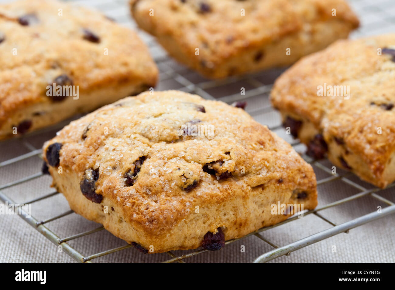Tray of fruit scones hi-res stock photography and images - Alamy