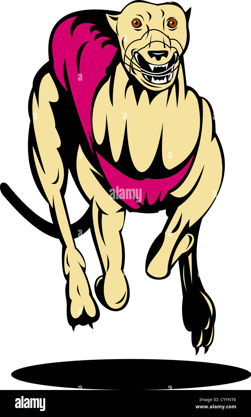 illustration of a greyhound dog racing on isolated white background ...