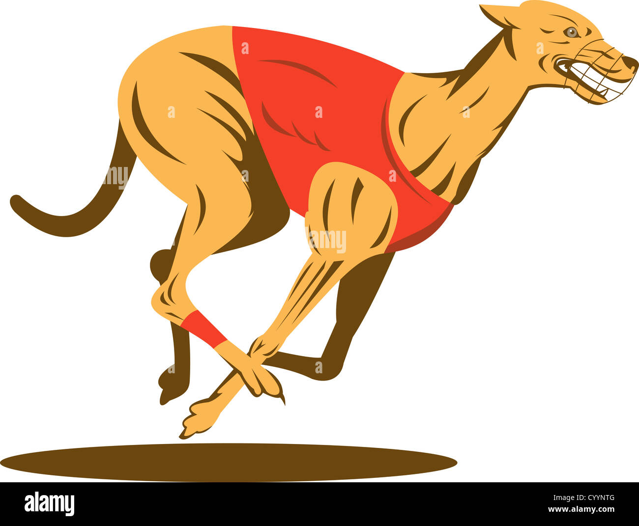 illustration of a greyhound dog racing on isolated white background ...