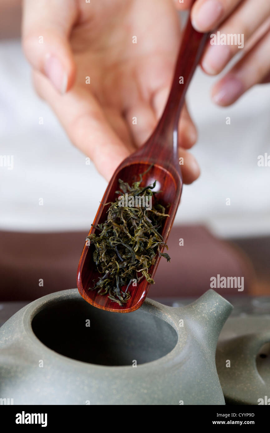 Female hand putting tea leaves into teapot Stock Photo - Alamy