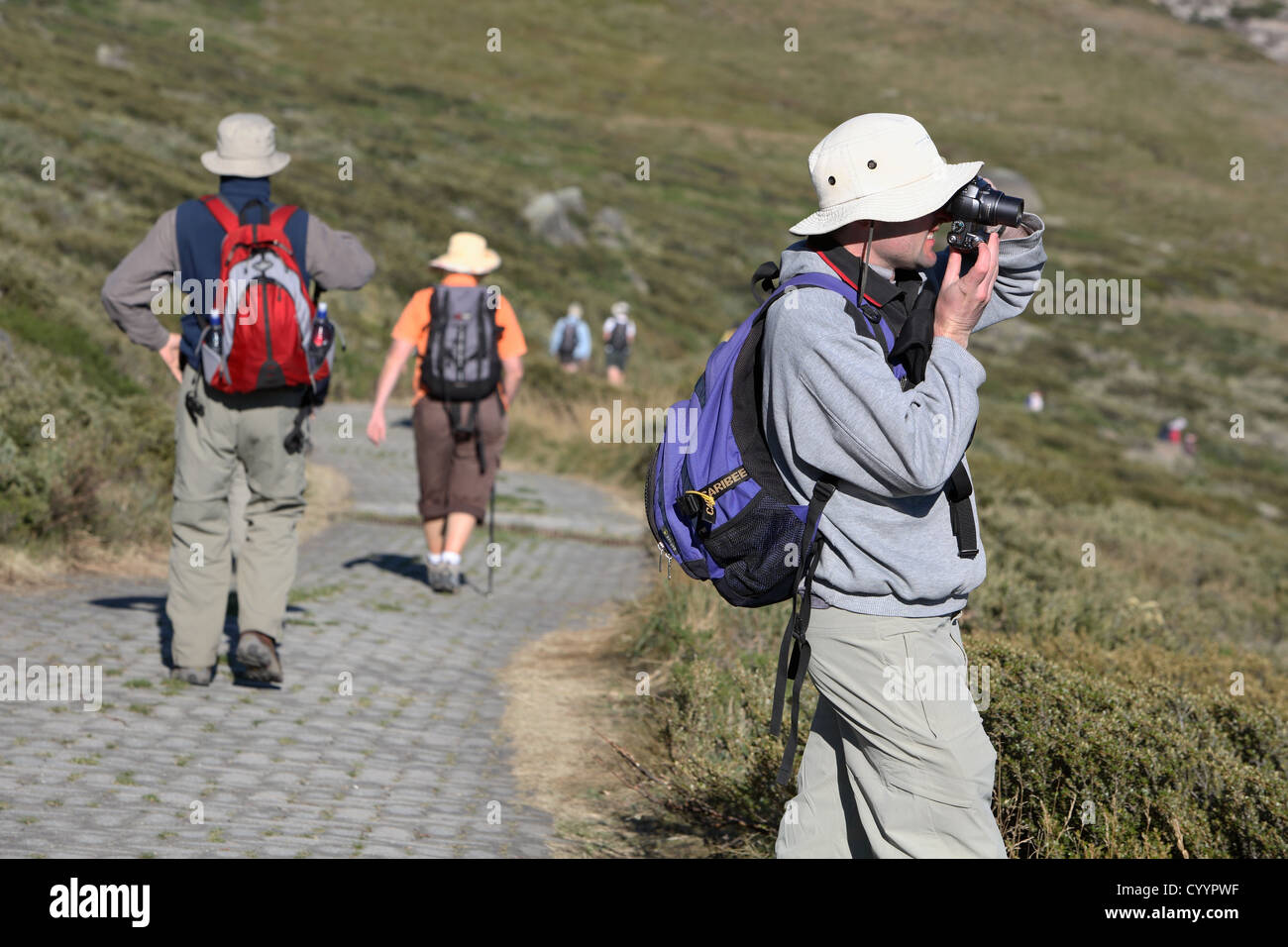 Bushwalkers in the Australian Alps. Kosciuszko National Park, New South ...