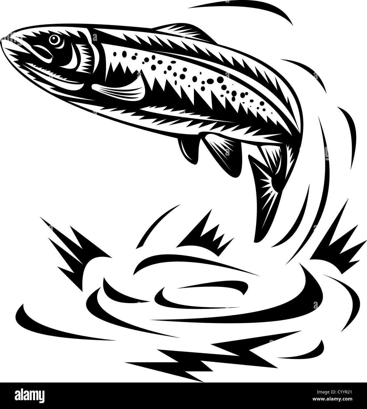 illustration of a trout fish jumping done in retro woodcut style Stock ...