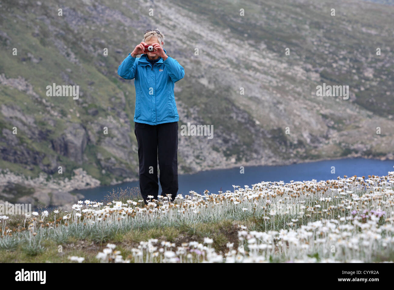 Australian alps hi-res stock photography and images - Alamy