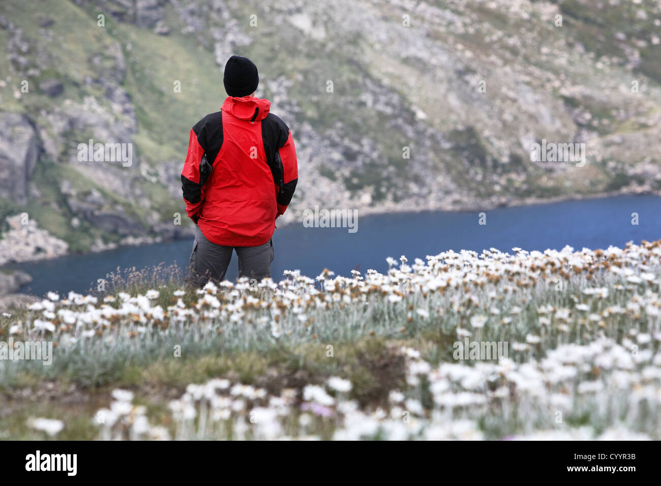Bushwalker in the Australian Alps. Kosciuszko National Park, New South ...
